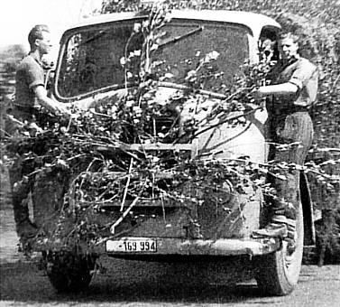 Engines of the Wehrmacht in WW2