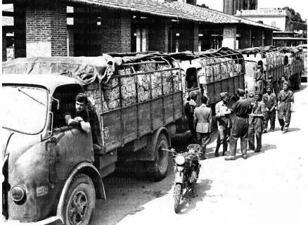 Engines of the Wehrmacht in WW2