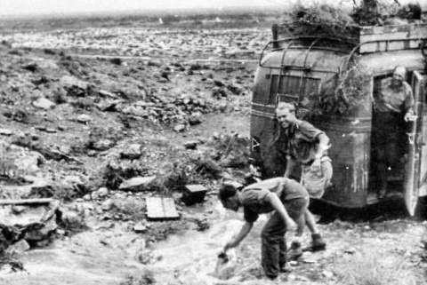 Engines of the Wehrmacht in WW2